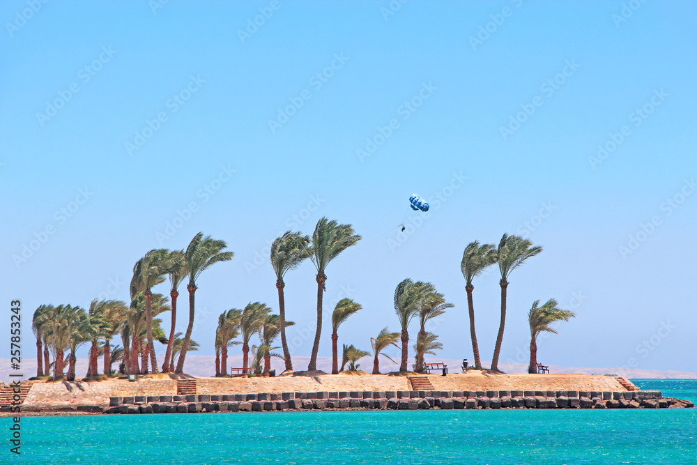 Tropical island with palm trees and sea. Paradise island in Red sea ...