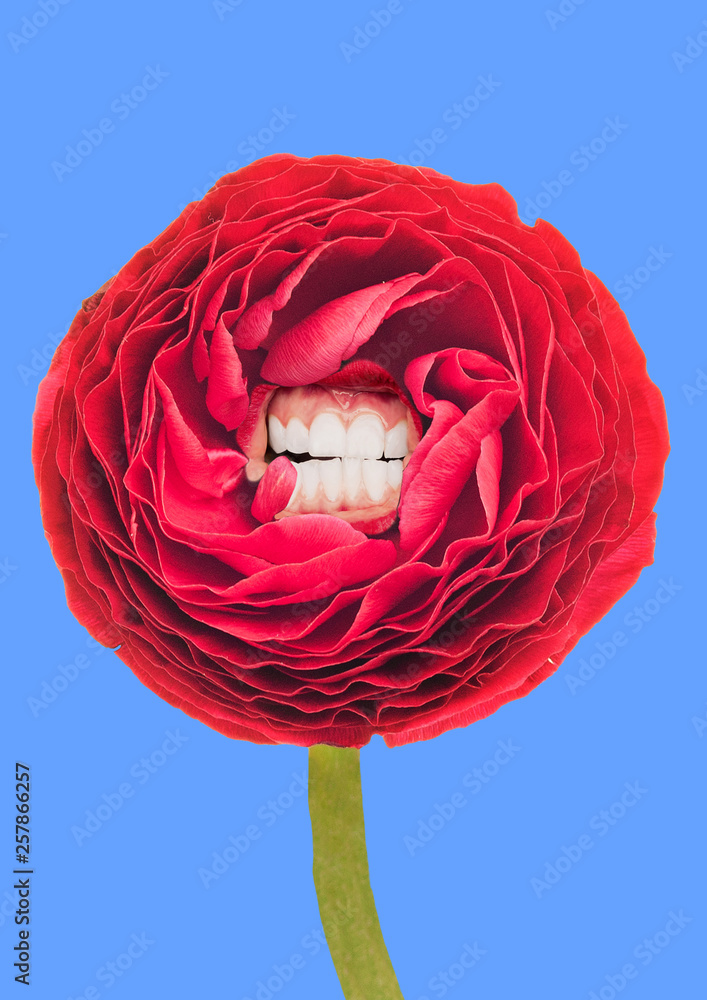 Smile for shining like a spring and being blossom. Alternative red lush ...