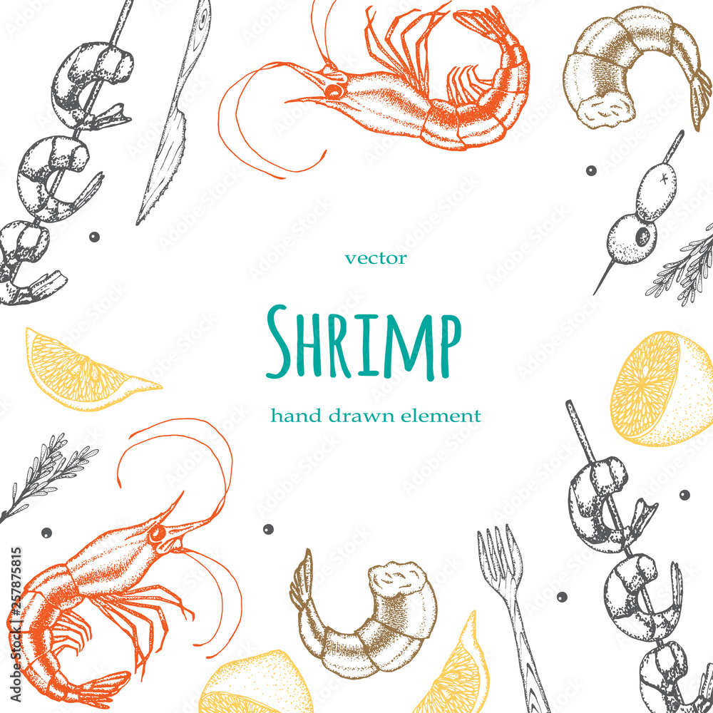 Set of shrimps. Hand drawn illustrations.Seafood concept on white ...