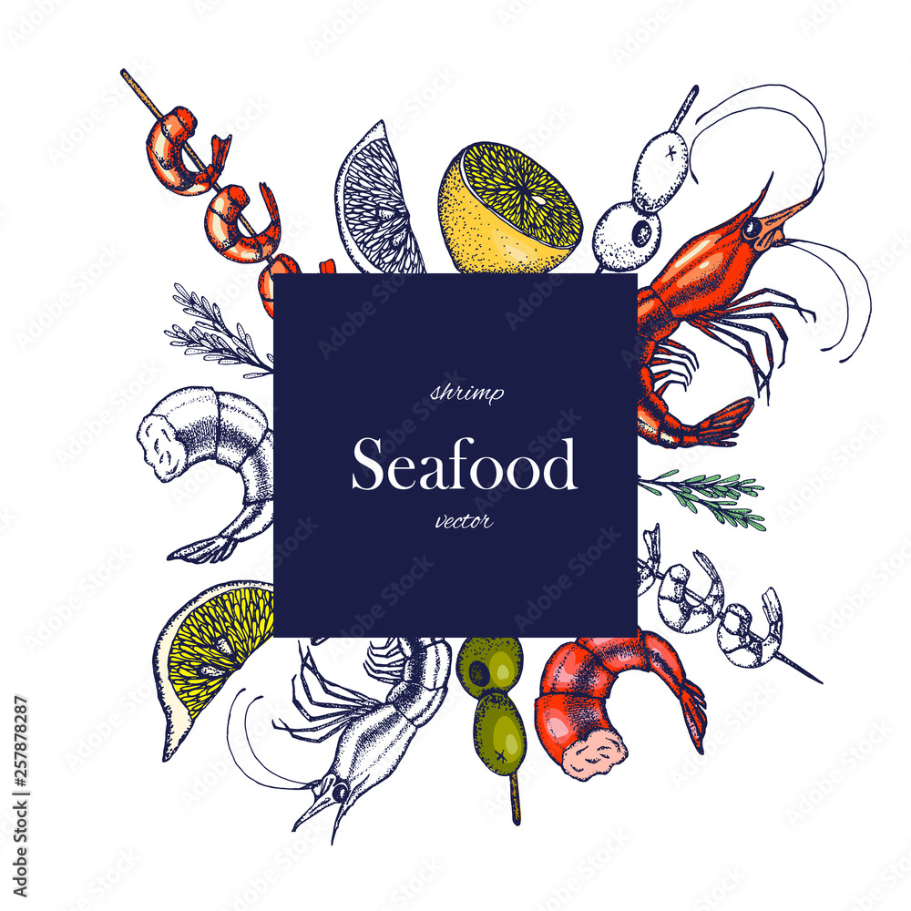 Set of shrimps. Hand drawn illustrations.Seafood concept on white ...
