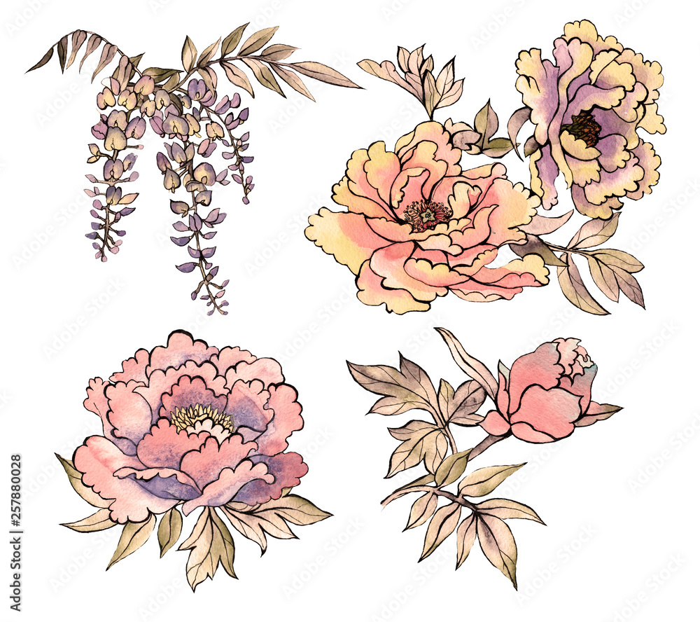 Set with traditional Asian watercolor flowers, chrysanthemums, peonies ...