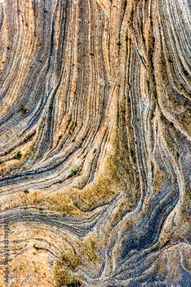 Sedimentary Rock Layers