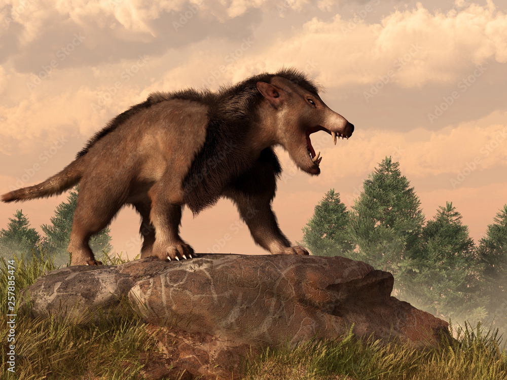 Arctocyon is an extinct prehistoric mammal that was about the side of a ...
