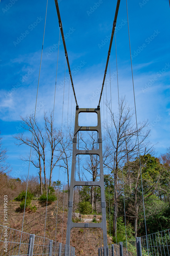 鬼の舌震 恋吊橋 The suspension bridge called "Koi-Tsuribashi" at Oni-no ...