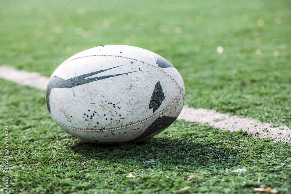 Rugby ball in a sports competition on the green grass. Stock Photo ...
