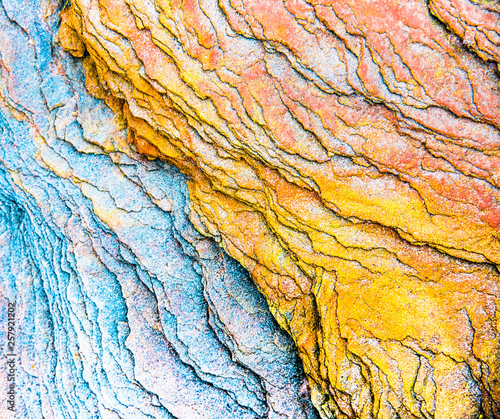 Patterns And Textures In Nature