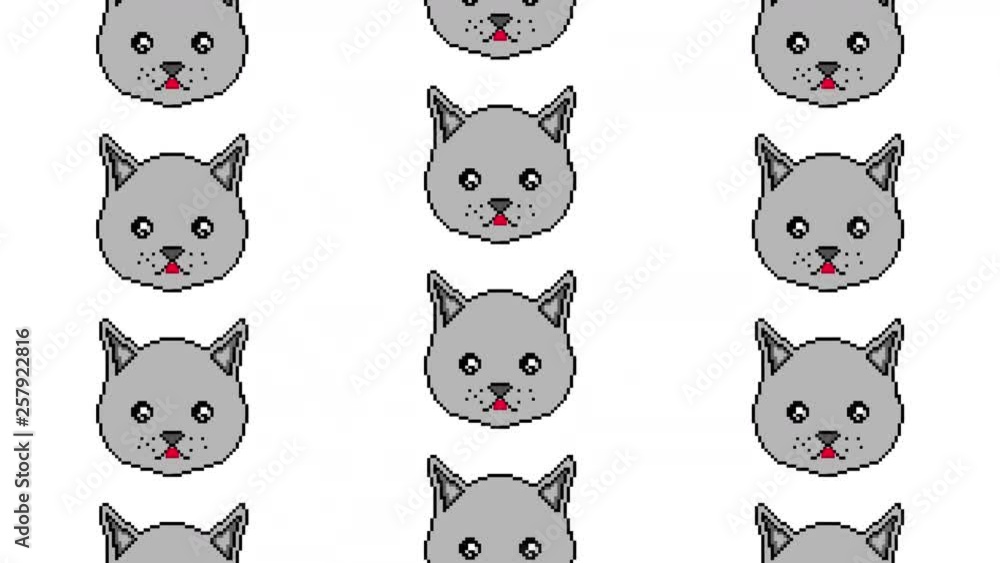 The pixel cat moves with his eyes and shows the tongue on a white ...