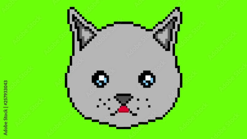 The pixel cat moves with his eyes and shows the tongue on a green ...