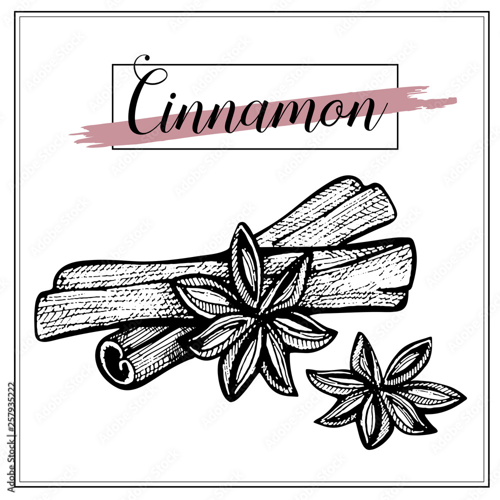 Cinnamon stick vector drawing. Hand drawn sketch. Seasonal food ...