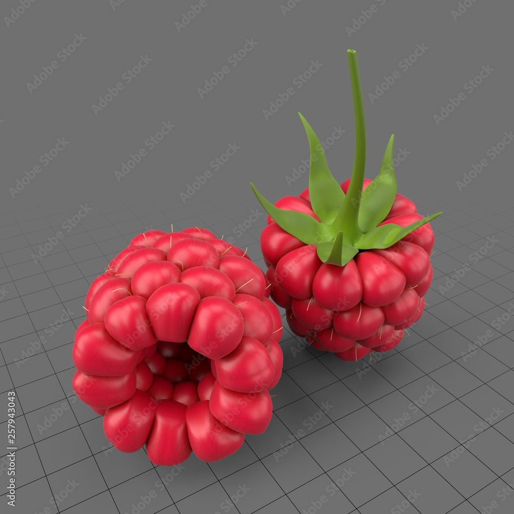 Raspberries Stock 3D asset | Adobe Stock