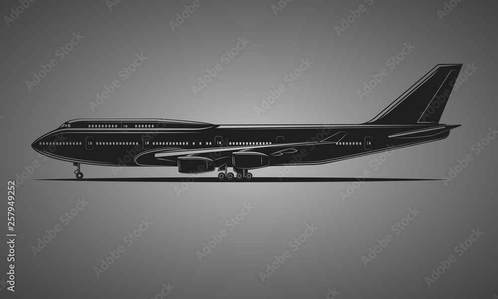 Large airliner vector illustration. Wide-body passenger aircraft Stock ...