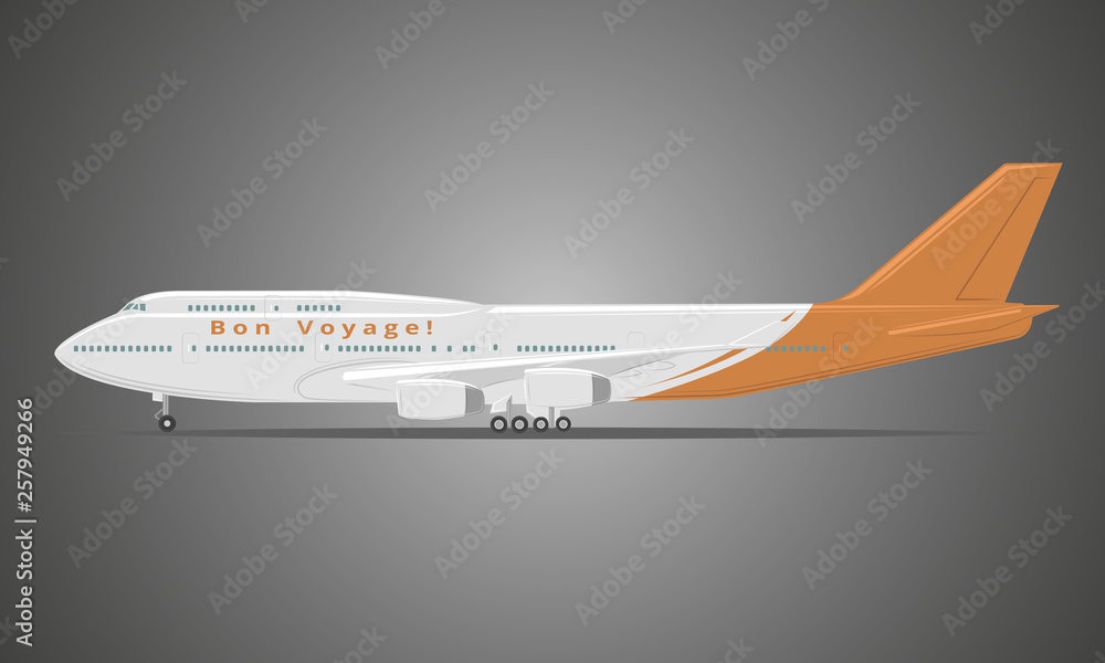 Large airliner vector illustration. Wide-body passenger aircraft Stock ...