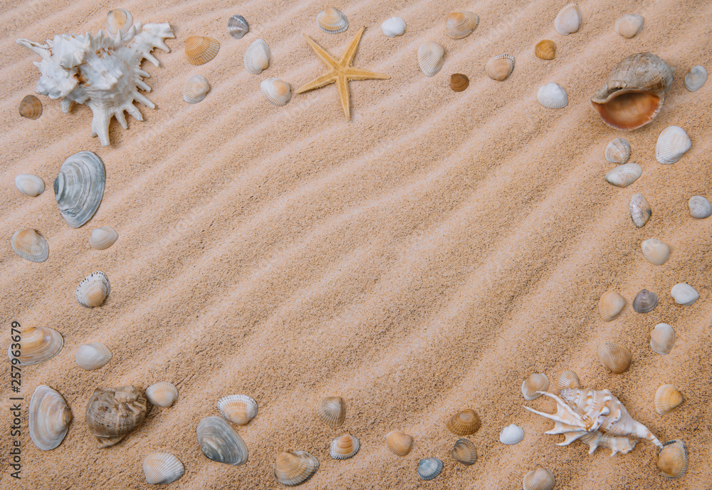 Sea shells with sand as background. Summer beach. Top view. Background ...