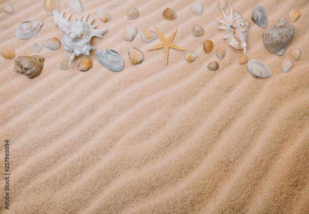 Sea shells and sailing ship with sand as background. Summer beach. Top ...