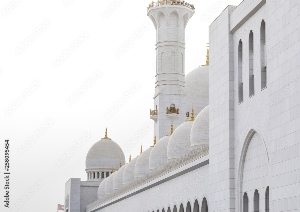 Famous White Muslims