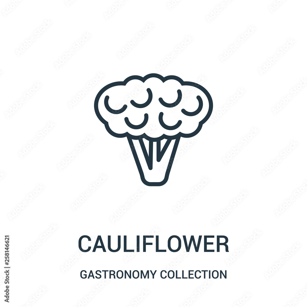 Cauliflower Outline