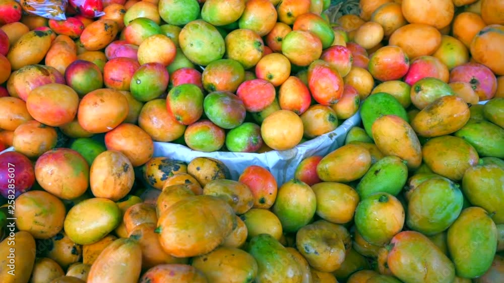Organic farmer vendor with a stand full of mangoes and fruits at a farmers market in Antigua ...