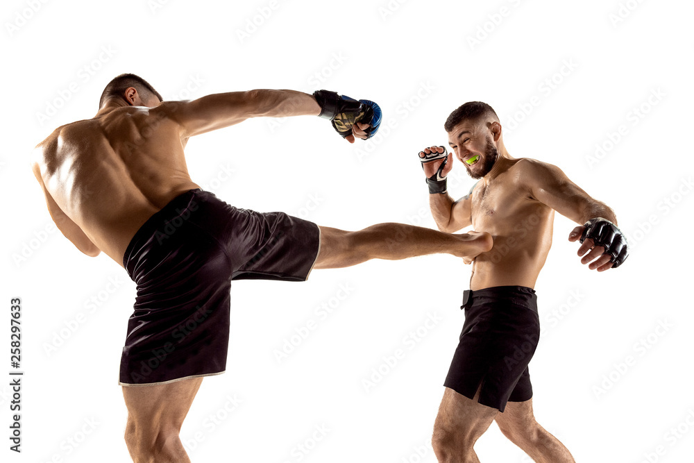 MMA. Two professional fightesr punching or boxing isolated on white ...