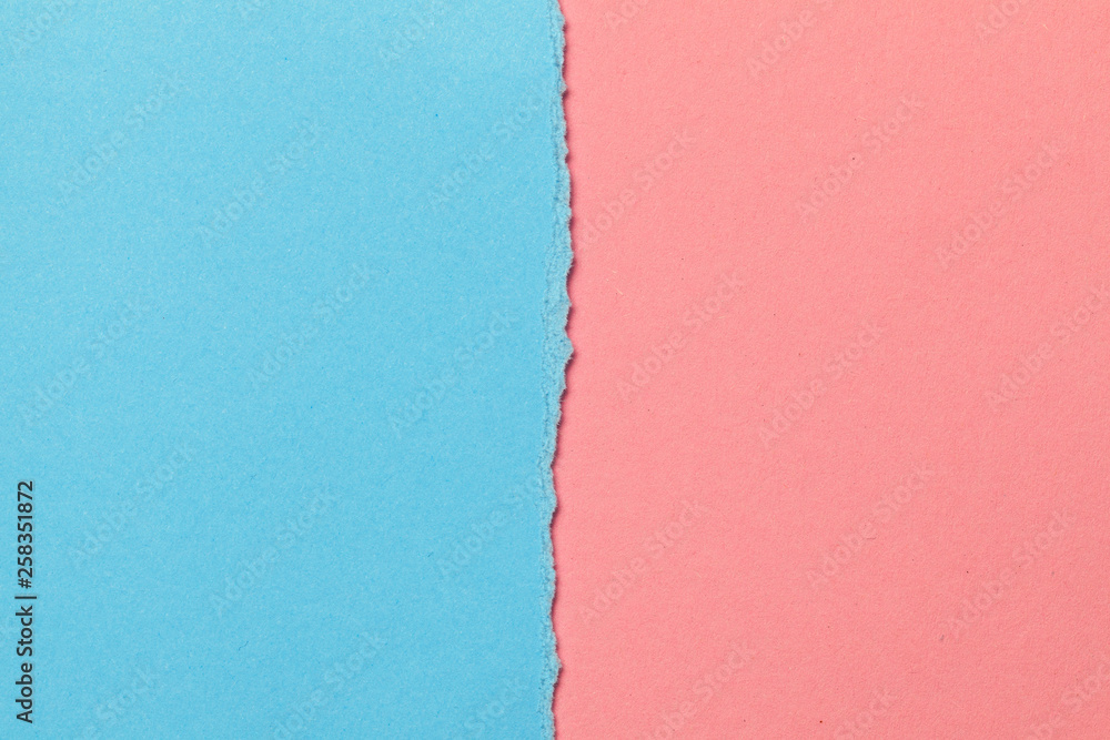 Blue and pink paper background are divided vertically in half. Concept ...