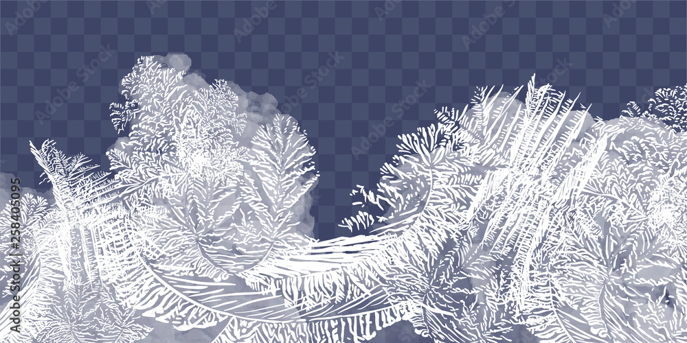 Frost glass pattern. Winter frame on transparent background. Vector ...