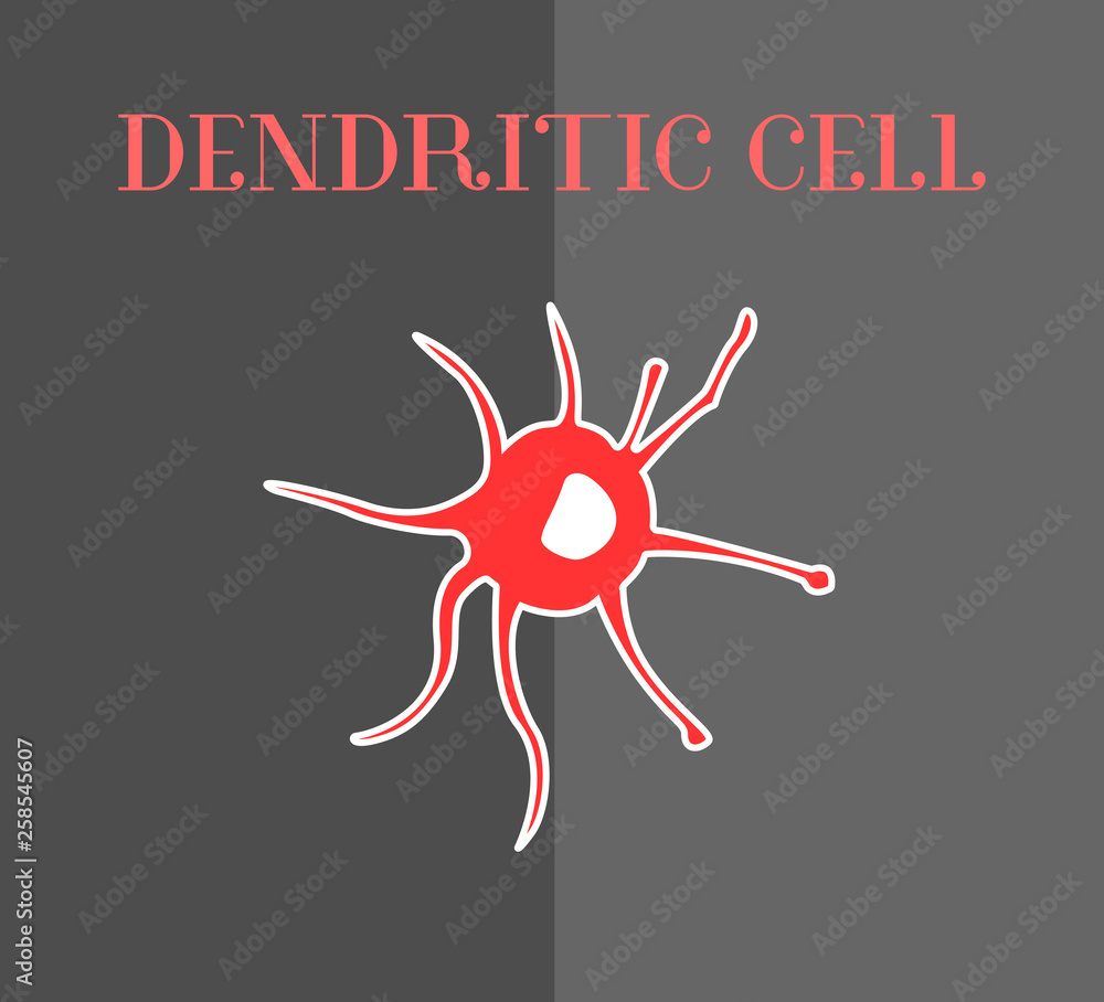 Dendritic cell fights infection. Icon style simple illustration. Cells ...