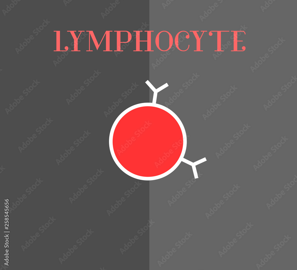 Lymphocyte recognize pathogens and produce antibodies. Icon style ...