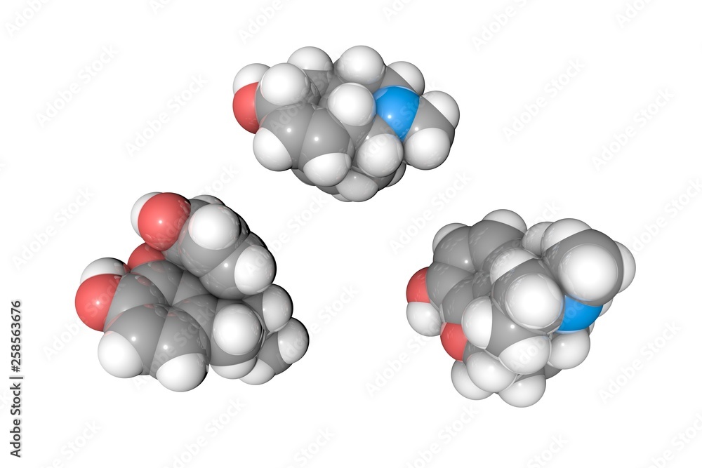 Molecule morphine. Morphine is an opioid agonist. Atoms are represented ...