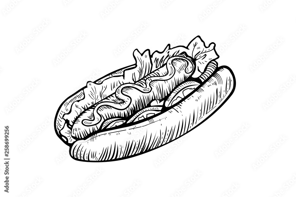 Hand drawn hot dog sketch, draft drawing on white background, vintage ...
