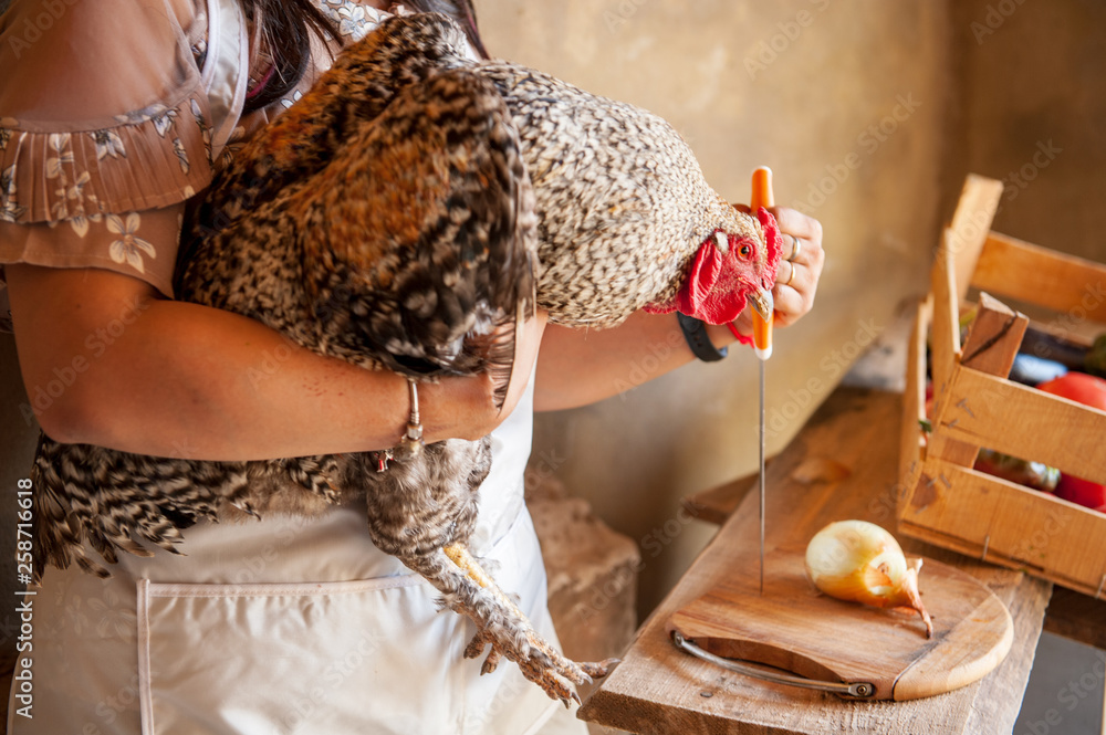 Attractive Indian woman cook posing in kitchen with chicken in her ...