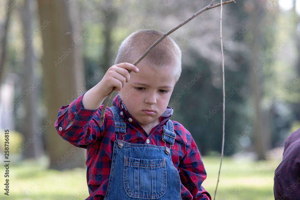 Active boy pointing wooden stick up while walking in spring park,Child ...