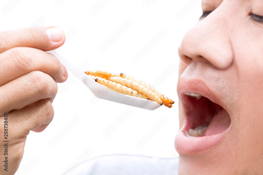 Food Insects: Man eating bamboo worm insect on spoon. Bamboo ...