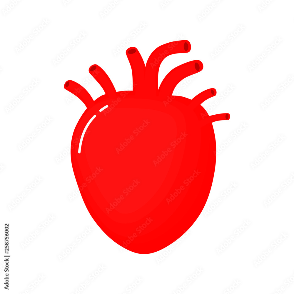 Human heart anatomy icon. flat cartoon style. bright and cute. Isolated ...