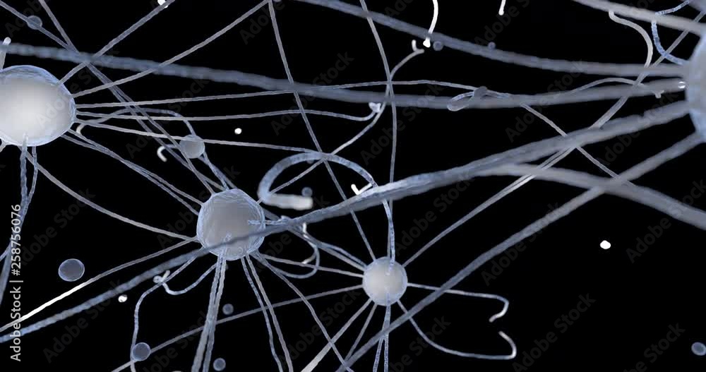 Neuron. Nerve cell. Growing Neural Network. Abstract neural cells in ...