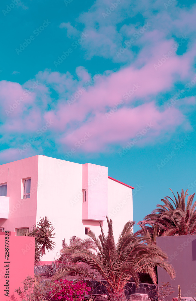 Canary Islands. Plants on pink fashion concept. Pastel Pink colours ...