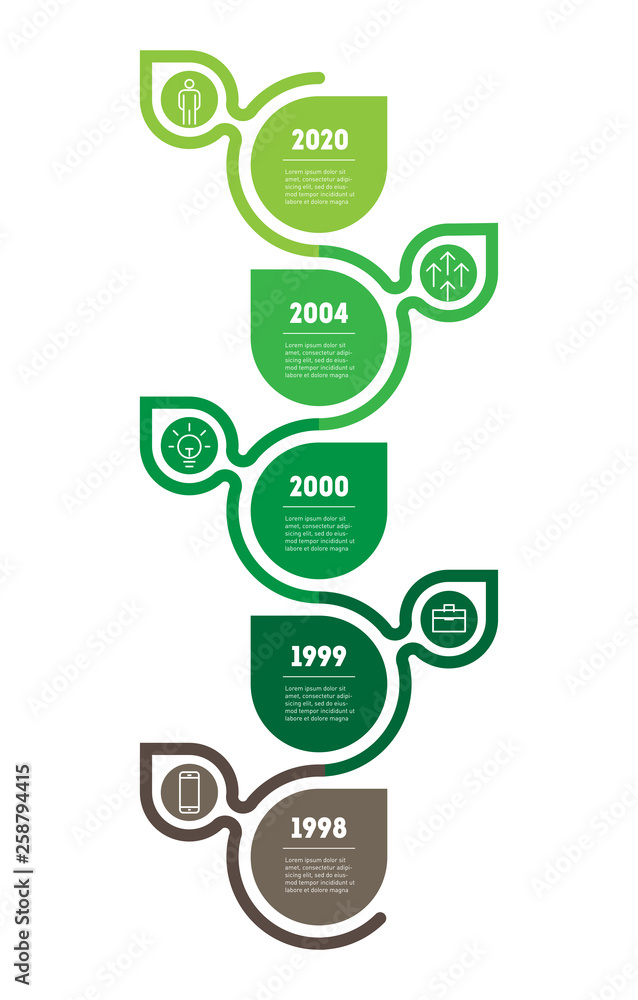 Vertical Timeline infographics. The development and growth of the eco ...