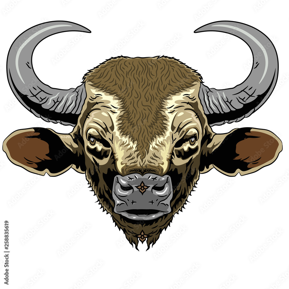 cow head vector Stock Vector | Adobe Stock