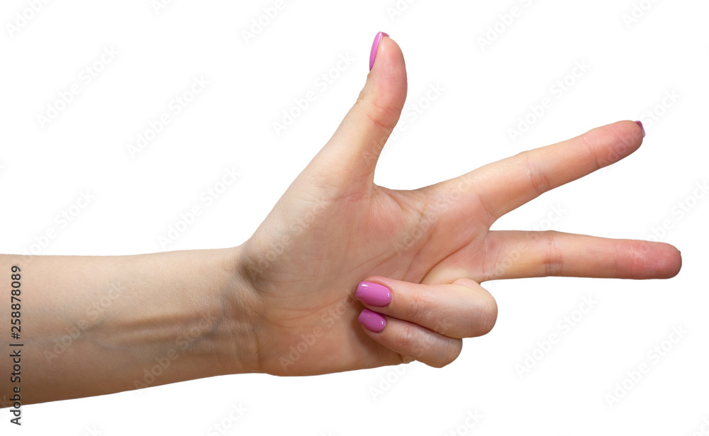 Beautiful Female Hands. Beautiful hand with perfect nails Female hands ...