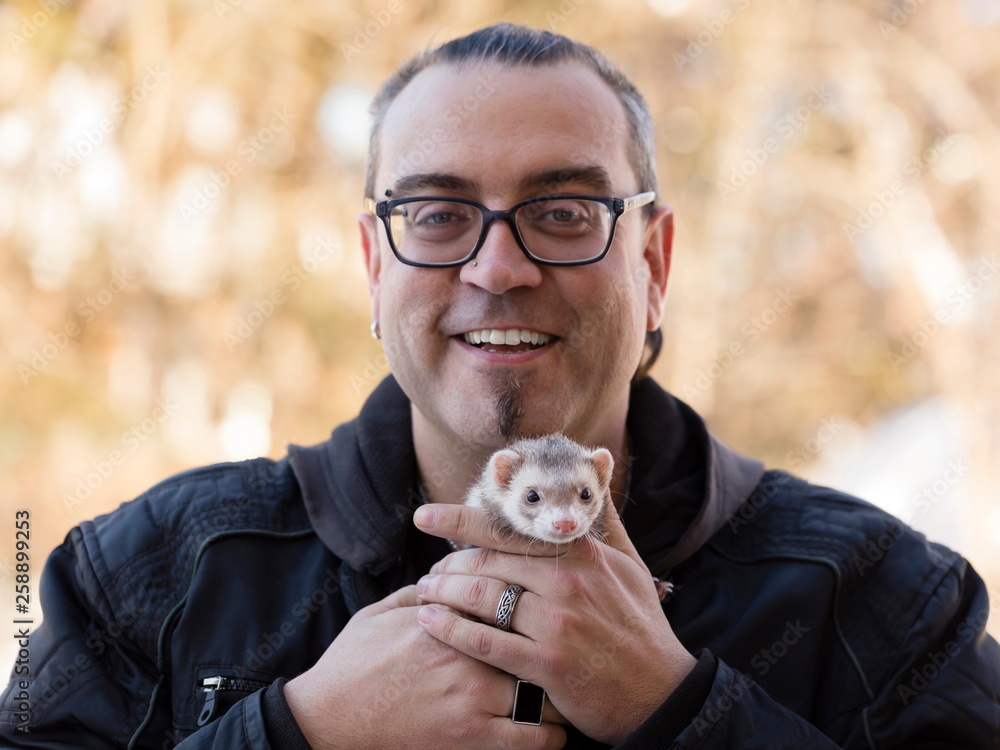 Medium horizontal portrait of ferret staring intently while held by ...