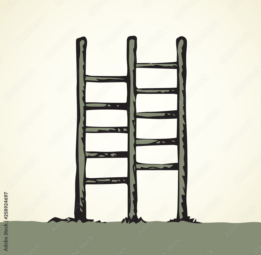 Vector drawing. Ladder Stock Vector | Adobe Stock