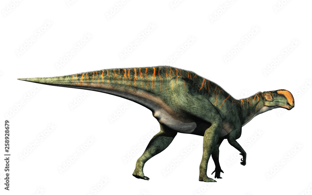 An Altirhinus on a white background. Altirhinus (high snout) was a type ...