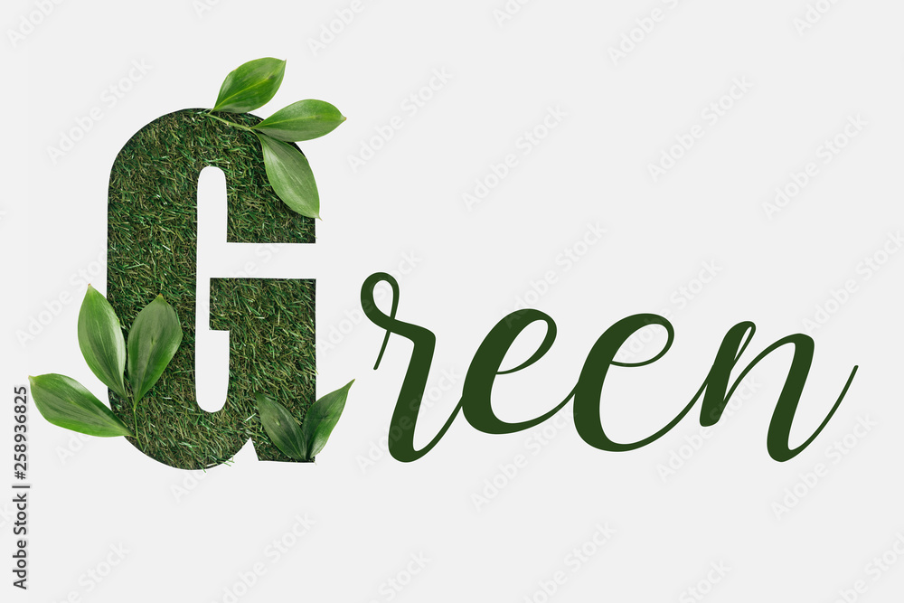 top view of green lettering with leaves isolated on white Stock Photo ...