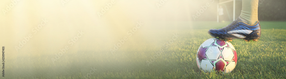 Nature Soccer player in action with football in brightly lit outdoor ...