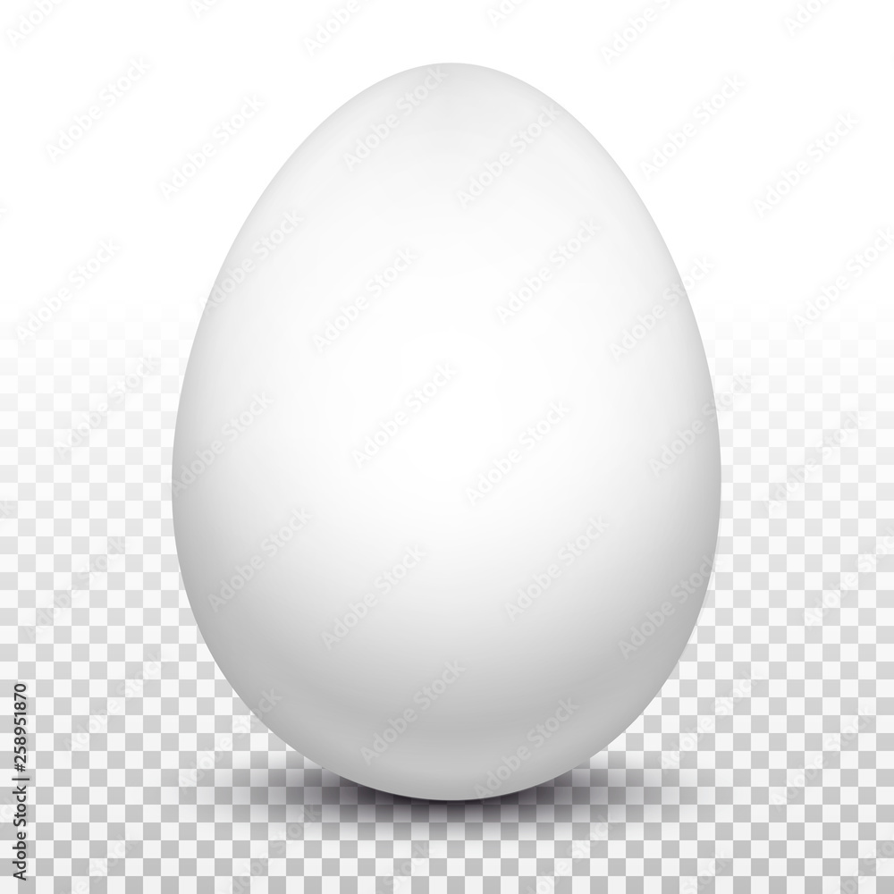 White chicken egg. Layout for Easter pattern. Eco product.3D realistic ...