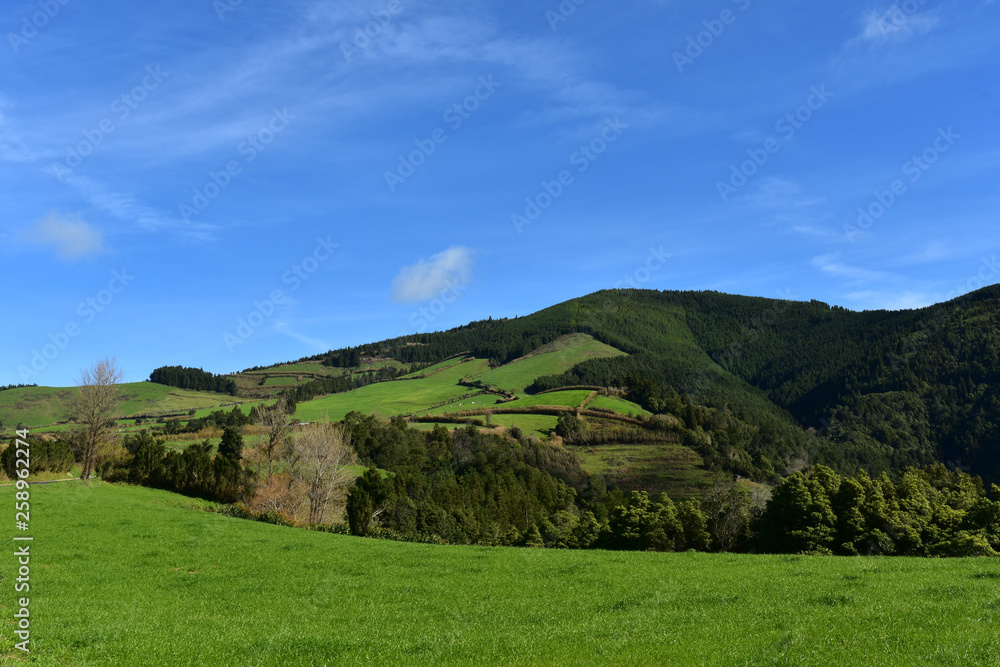 Beautiful Green Grass Fields and Pastures in the Azores Stock Photo ...