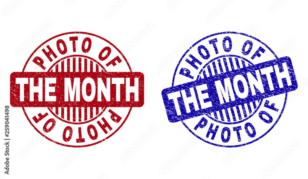 Grunge PHOTO OF THE MONTH round stamp seals isolated on a white ...