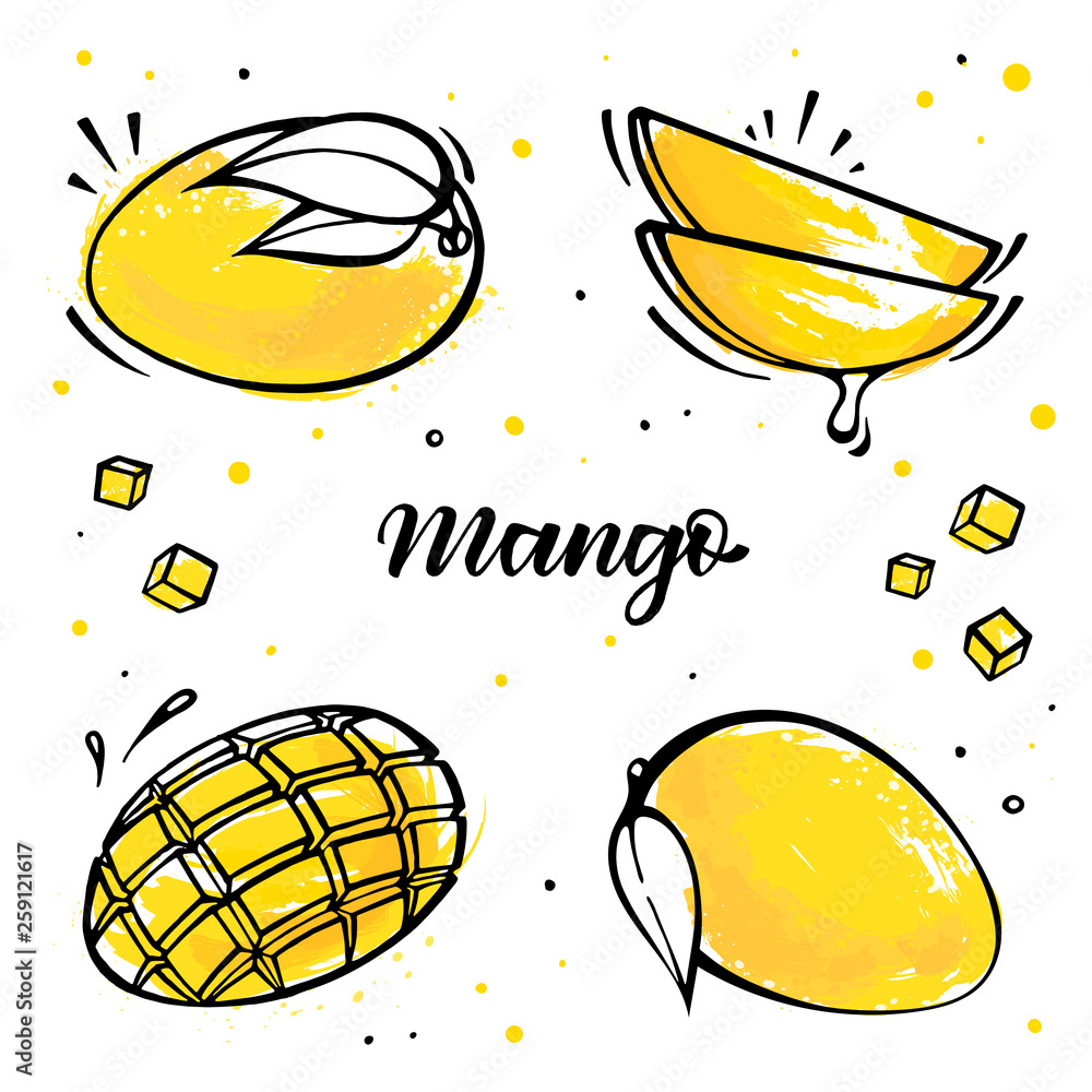 Set of mango illustration in sketch style. Isolated vector on white ...