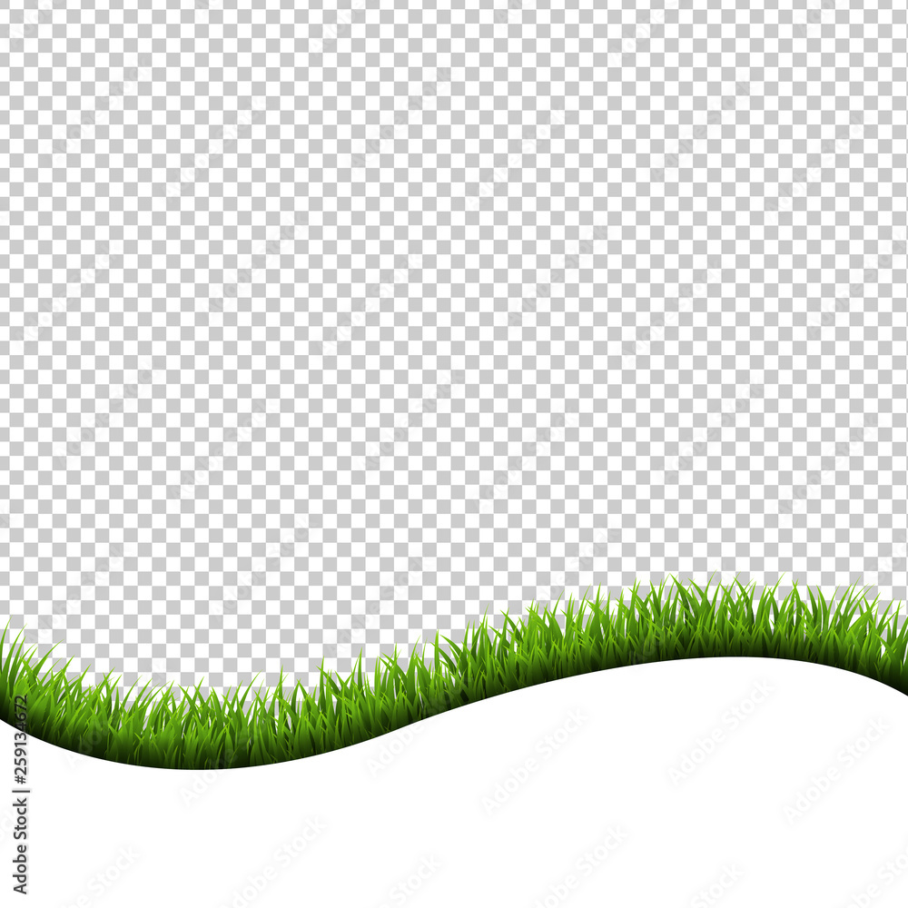 Grass Border Isolated Transparent Background Stock Vector | Adobe Stock