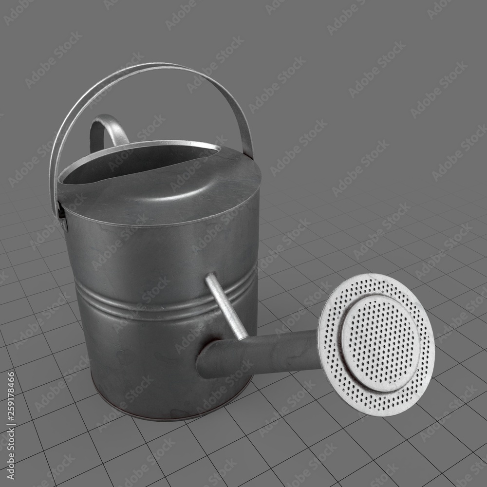 Watering can Stock 3D asset | Adobe Stock