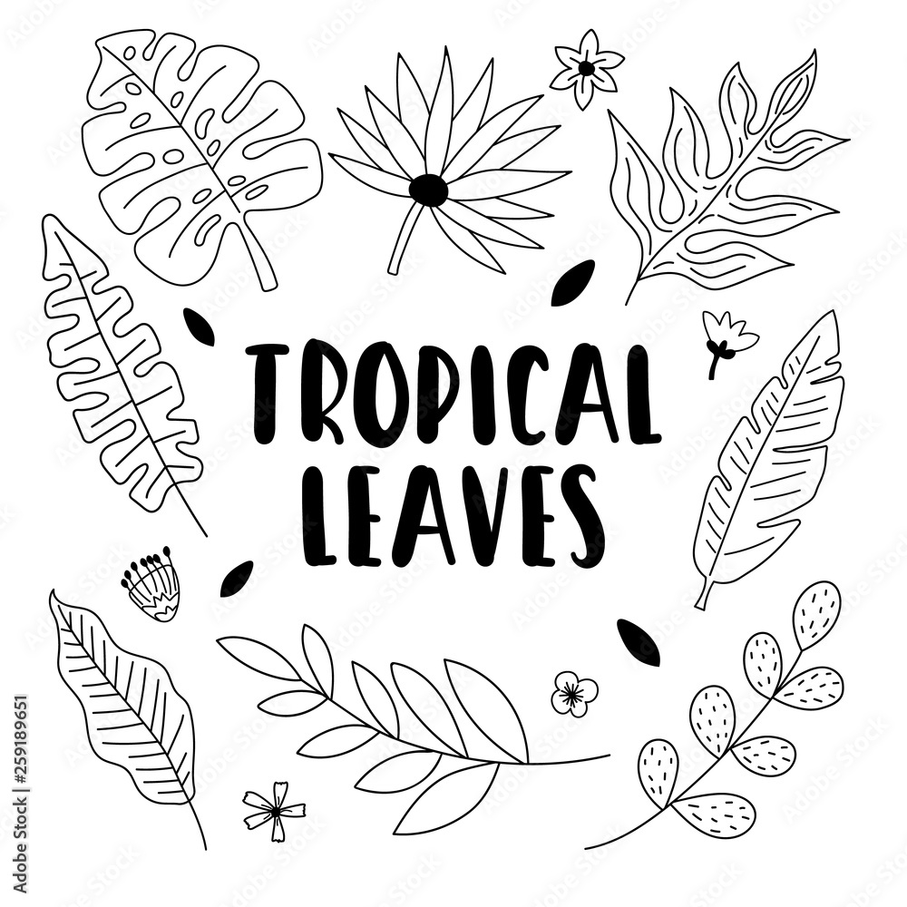 Easy Tropical Drawings
