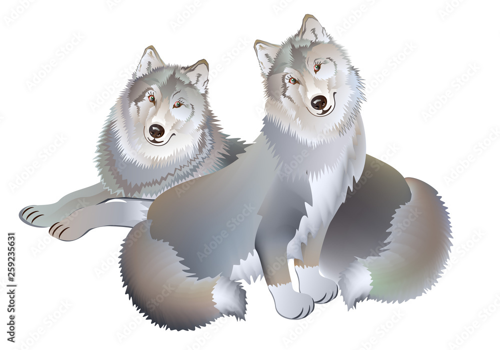Fantasy drawing of couple of two wolves gentle loving each other ...